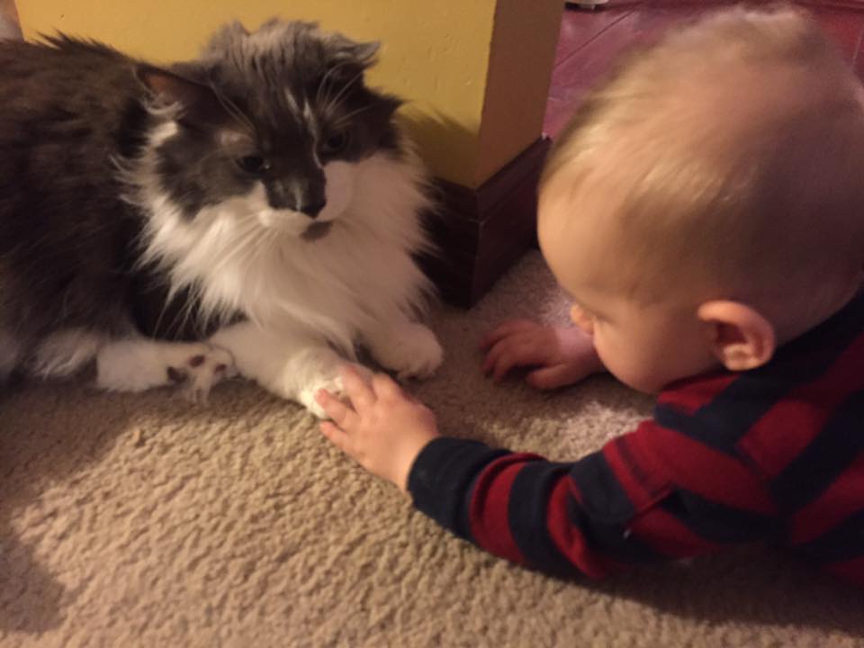 10 Minute Lower Body: Glutes, Hips & Thighs Workout | Bender Fitness